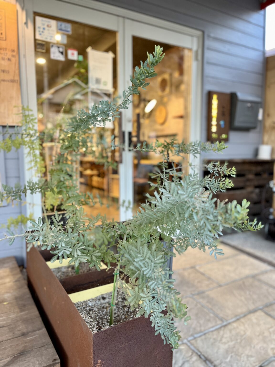 【緊急独占インタビュー】全国で人気の｢くらしの道具屋 TUKURITE｣（安佐北区落合）に突撃。いま家具再生の取り組みに力を入れているらしい。 | まるごとGO！｜毎日の暮らしに情熱を。